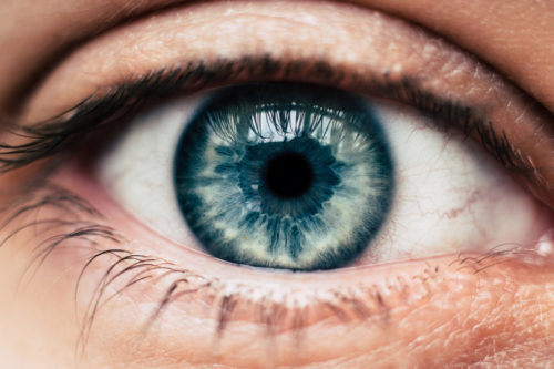 Visual Appeal | Definition, Meaning | Market Ready Index